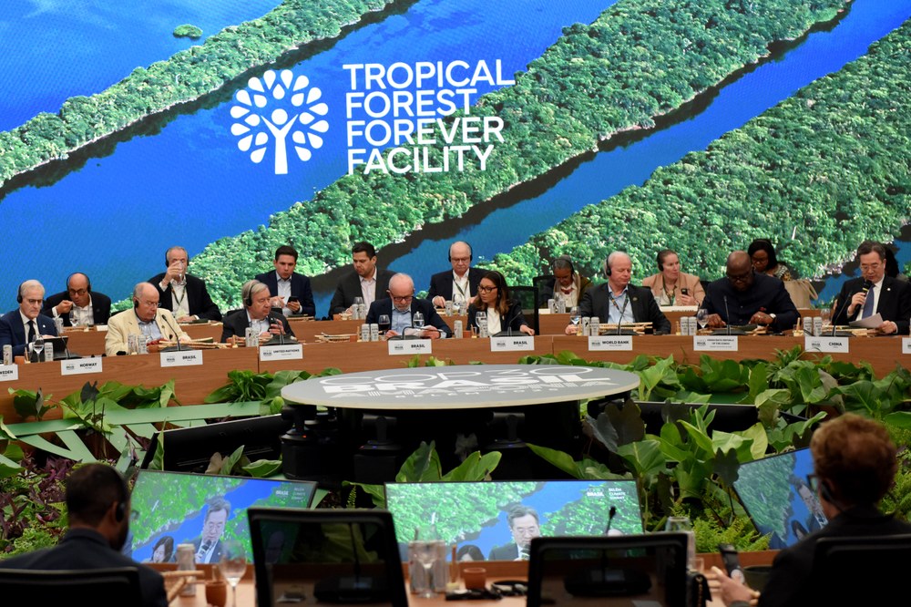 Mais de US$ 5,5 bilhões são anunciados para o Fundo Florestas Tropicais ...